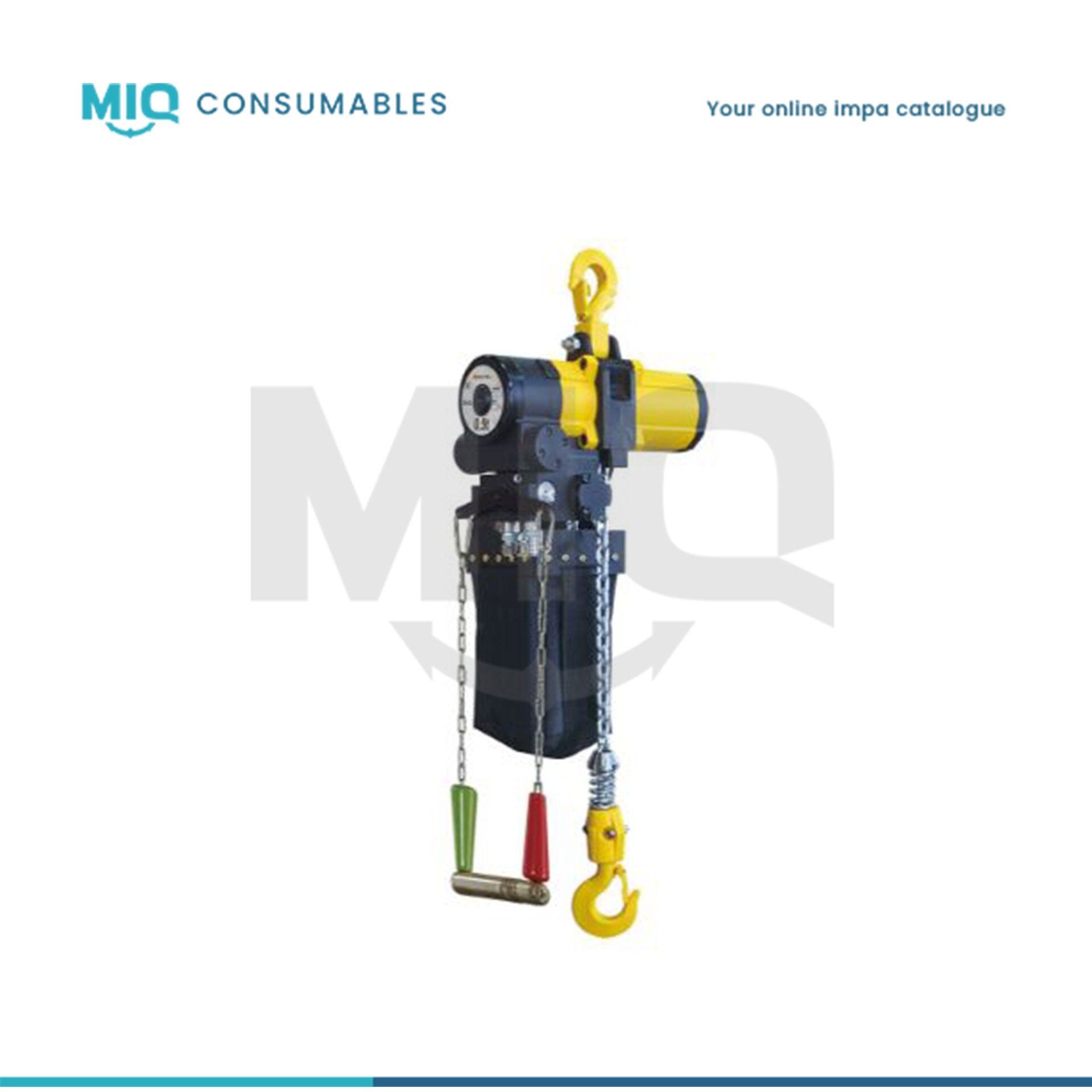 - 591354-DELTA PNEUMATIC CHAIN HOIST ATEX ZONE-2 1.0T X 3.0 MTR INCL ...